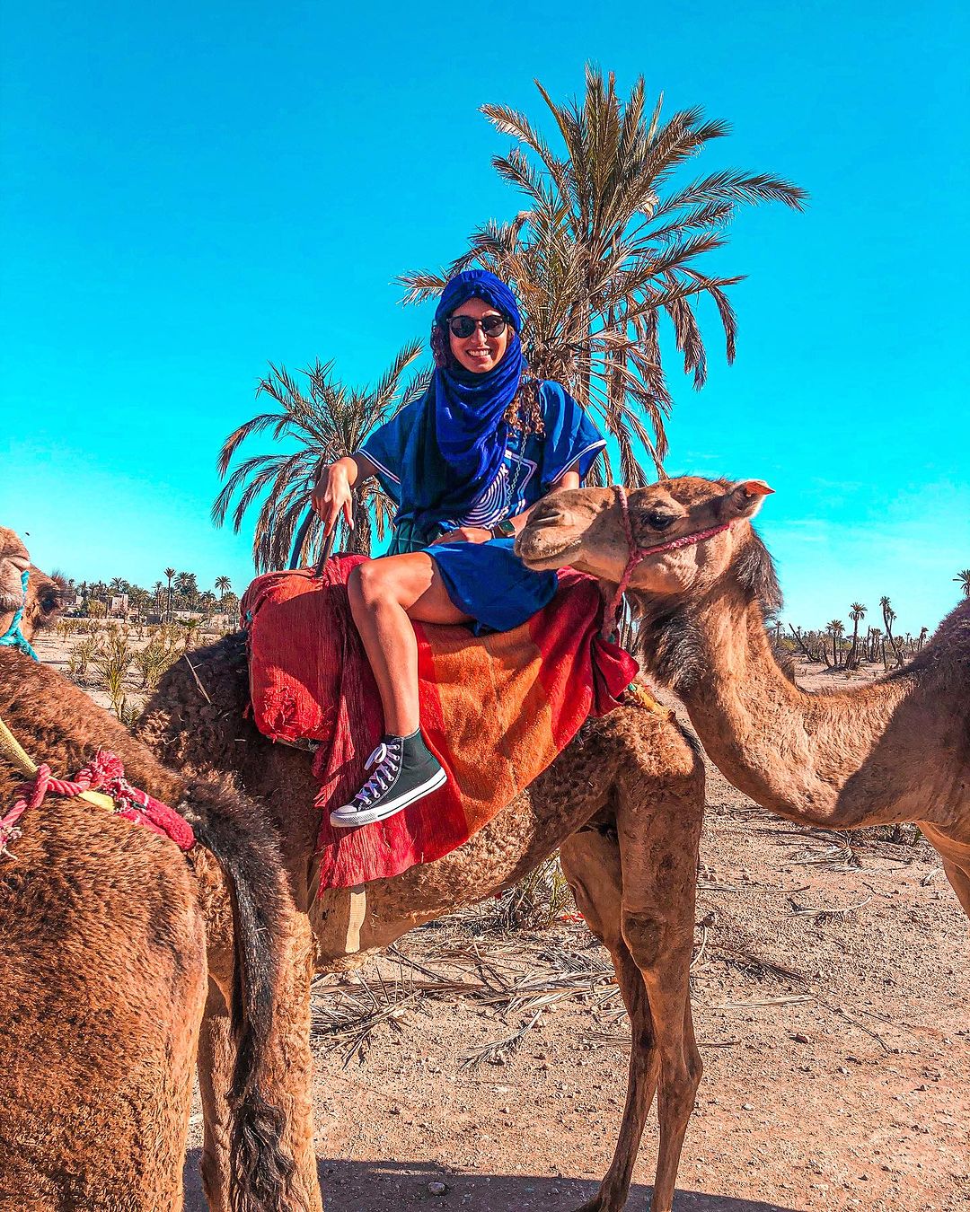 1-Day Tour in Marrakech for the camel ride experience in the Palmeraie