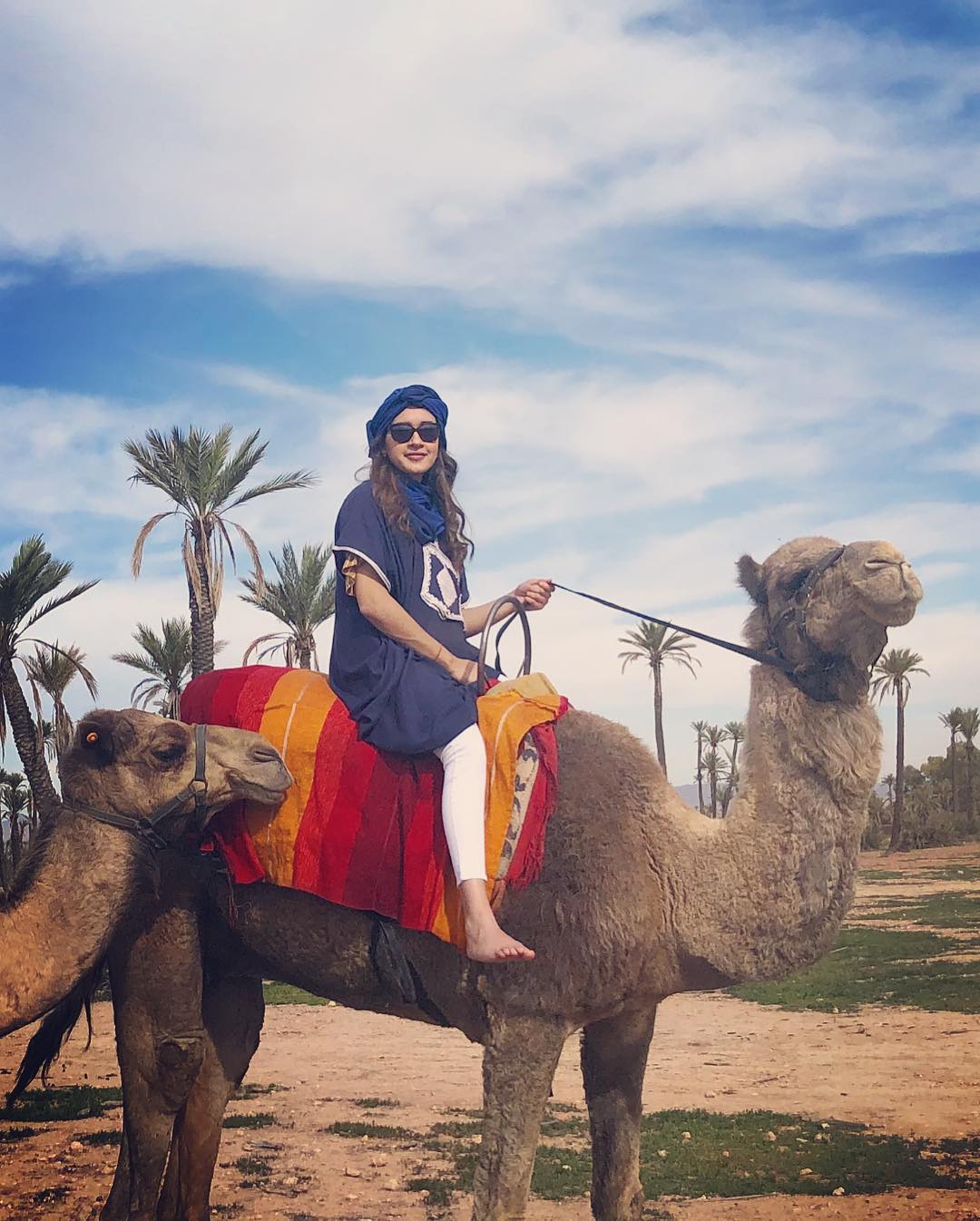 Best Marrakech Camel Ride Desert Experience - Affordable Tour 2024