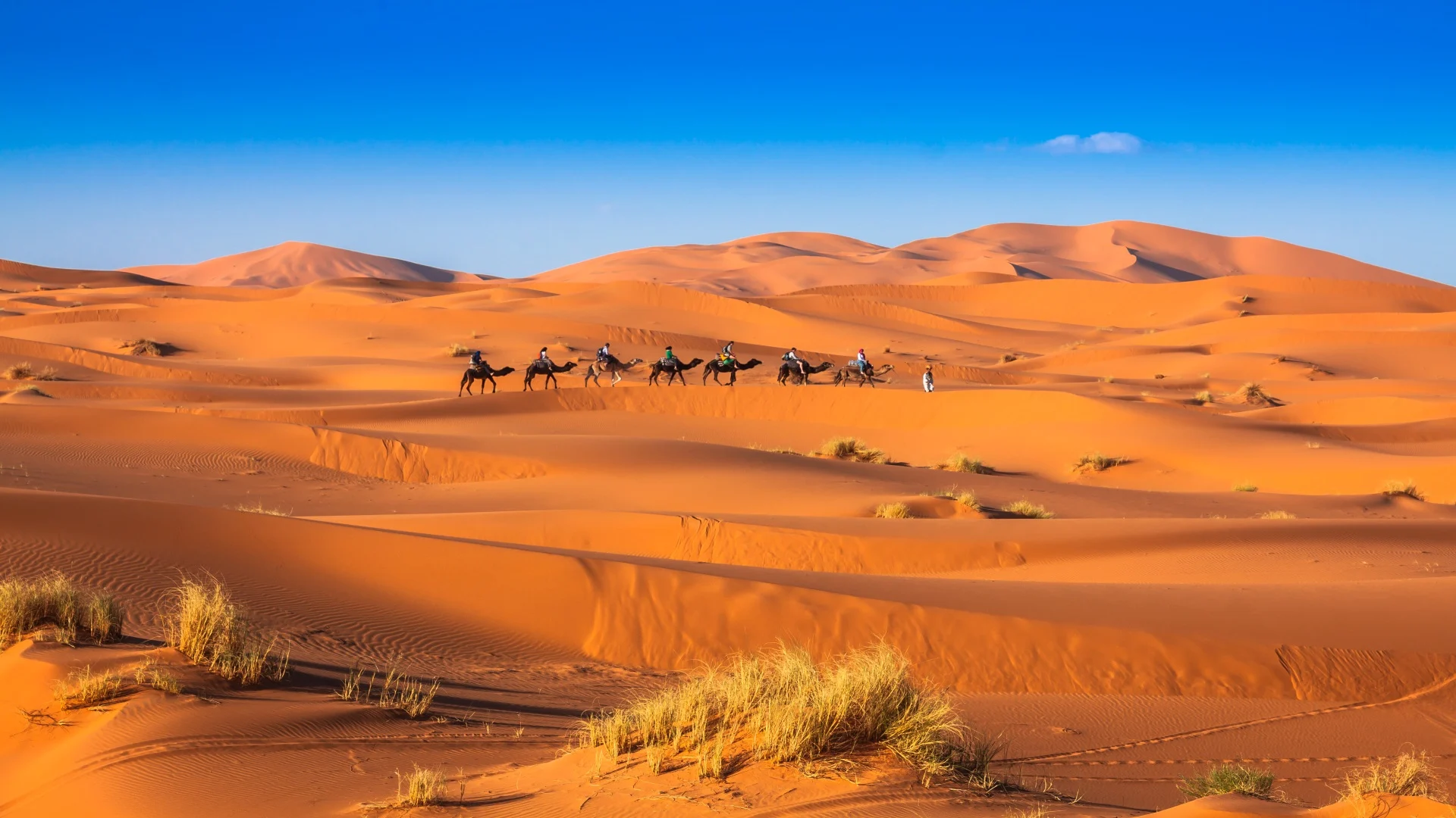 Unique 3-Day Marrakech Desert Tour to Erg Chebbi (Merzouga Dunes)